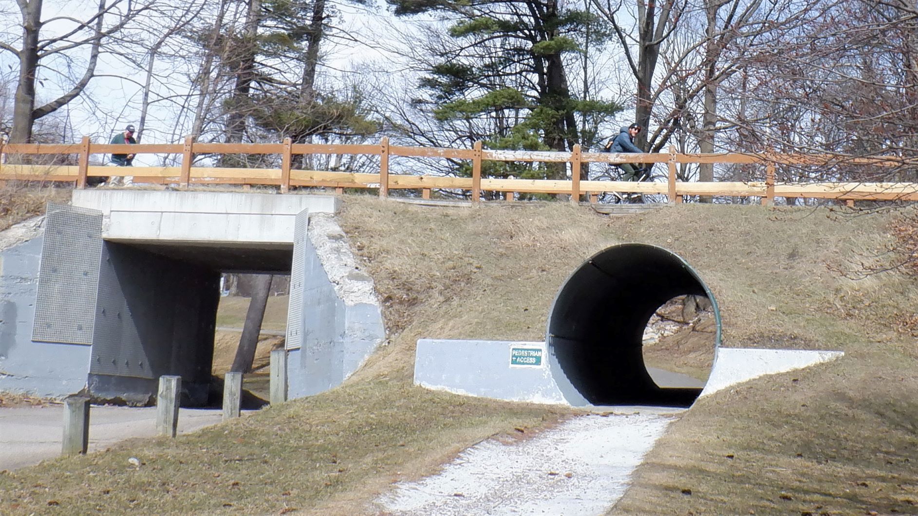 a wiser Susan – Six Weeks to Cross Bridges